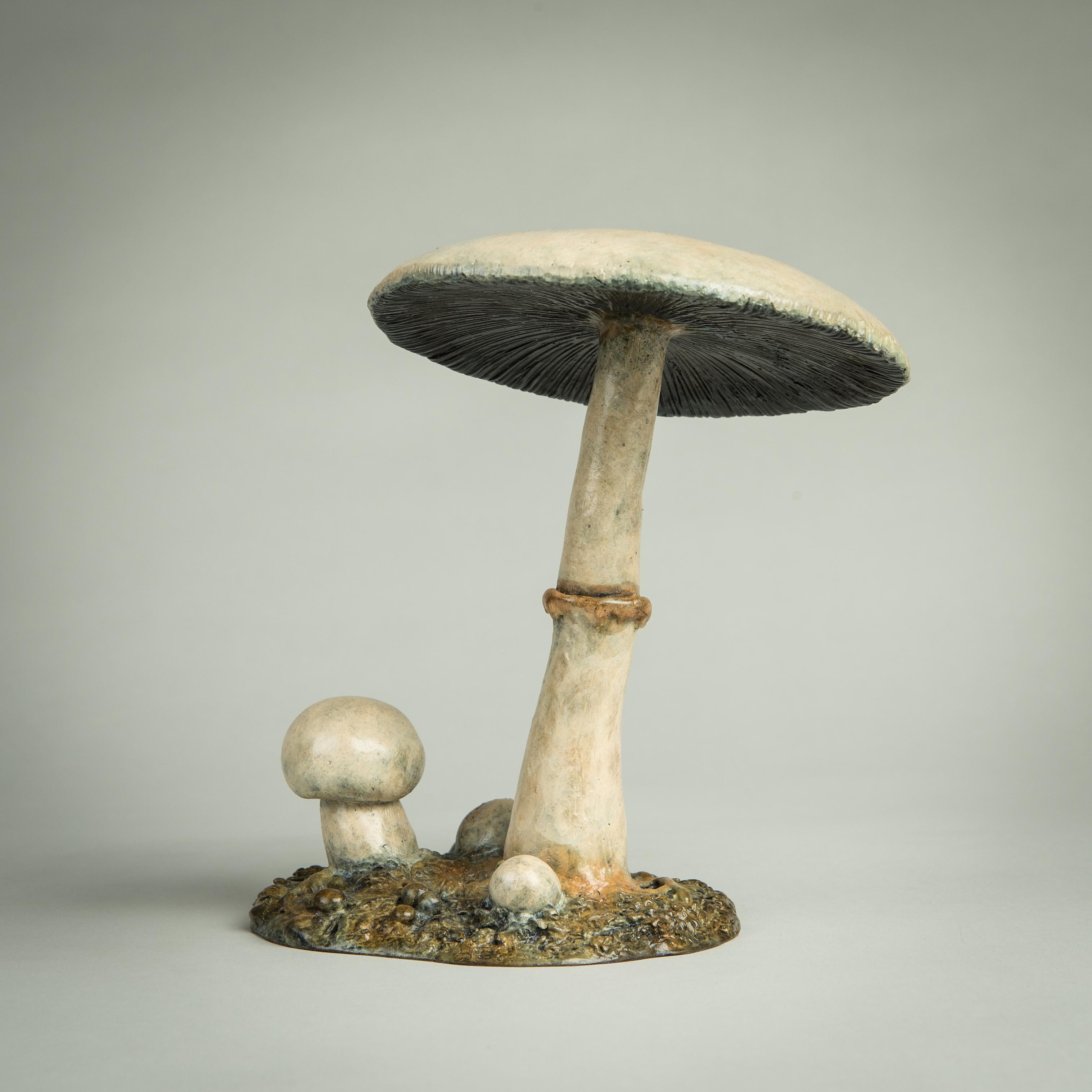 Richard Smith b.1955 - 'Horse Mushroom' Contemporary desktop Bronze ...