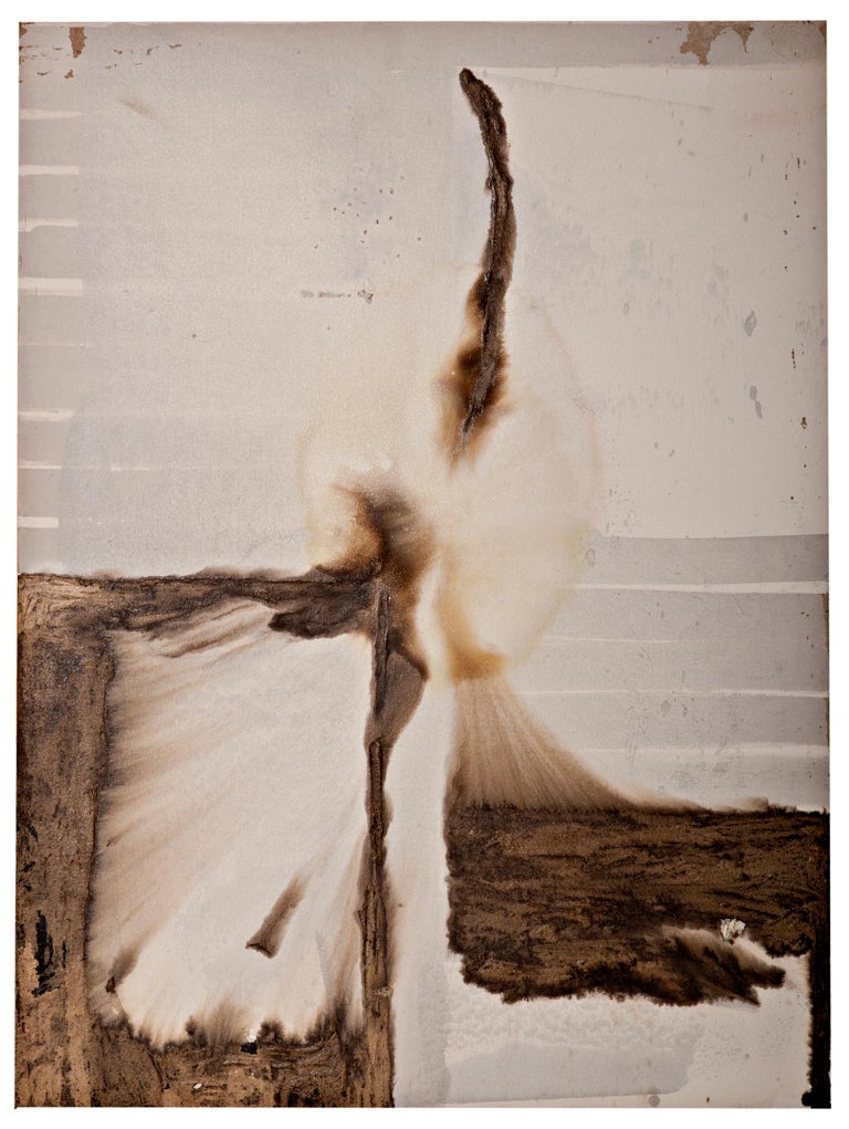 Rick Lewis - Painted Trees For Sale at 1stDibs