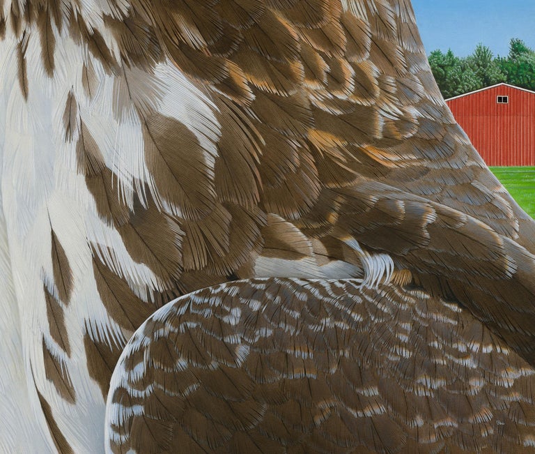 Rick Pas - Nelson's Redtail - Photorealistic Portrait of a Hawk, Farm ...