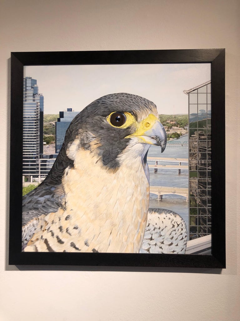 Rick Pas - Peregrine City - Photorealist Painting of a Peregrine Falcon ...