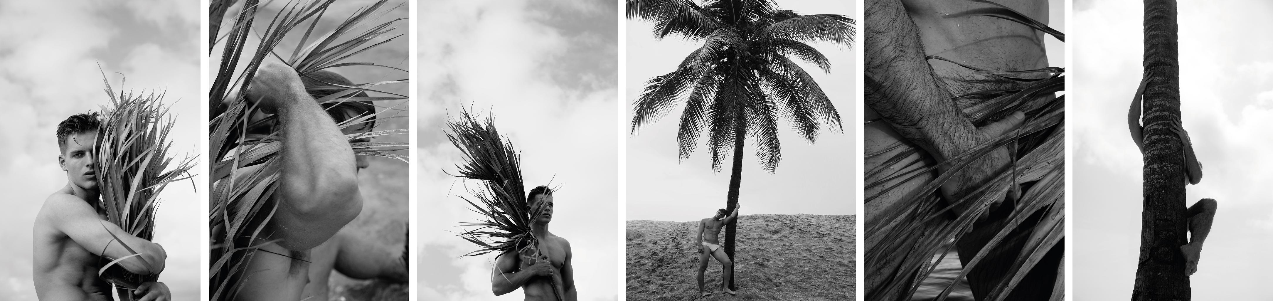 Ricky Cohete - Man jumping our of the water, Two. From the Motion ...