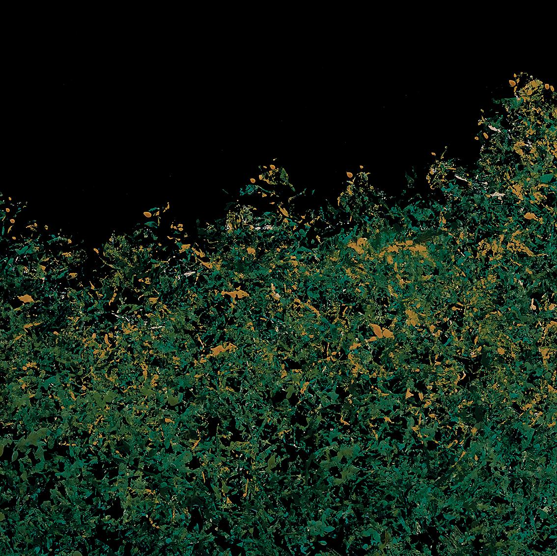 Rimm Chae - Arirang Cantabile For Sale at 1stDibs