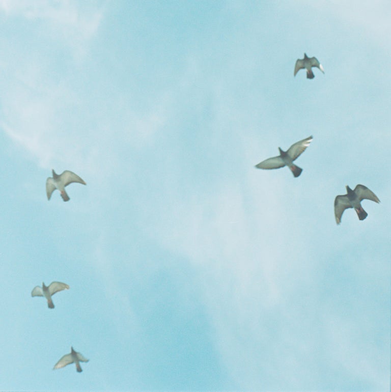 Rinko Kawauchi - Untitled, from 'the eyes, the ears' – Rinko Kawauchi ...