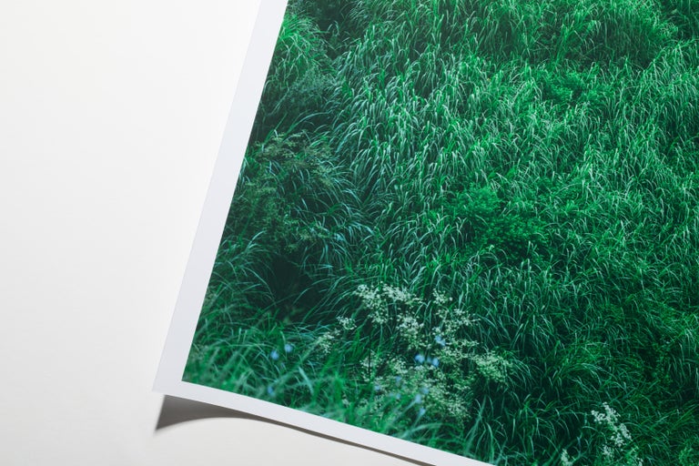Rinko Kawauchi - Untitled, from the series Ametsuchi For Sale at 1stDibs