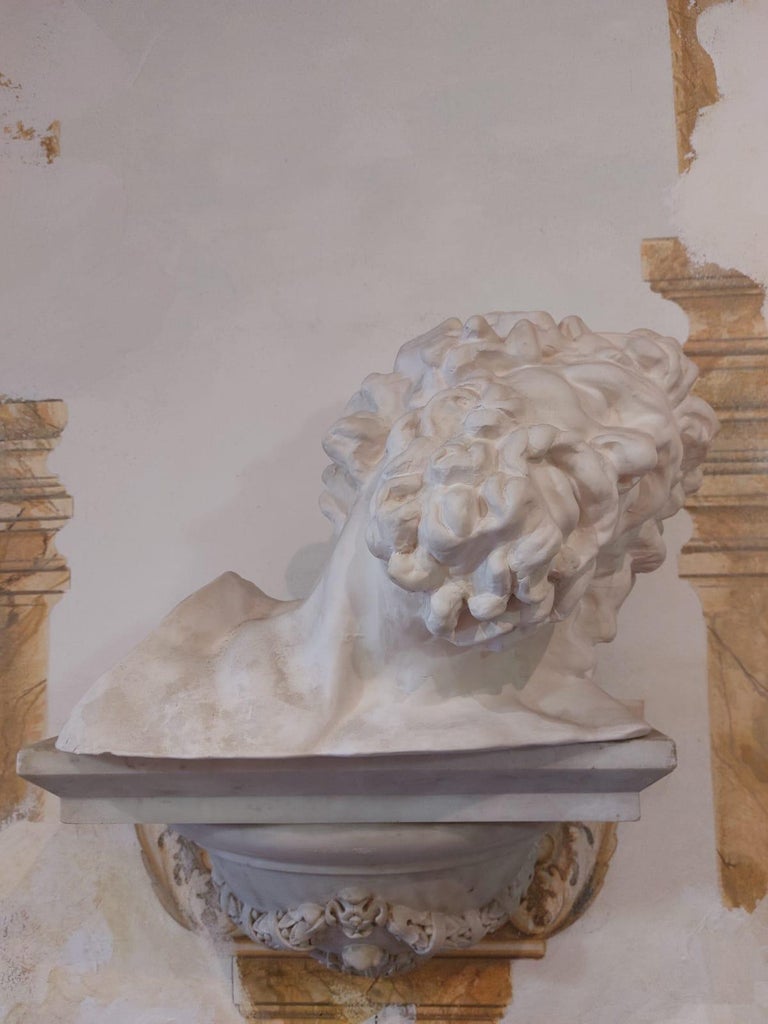 laocoon head
