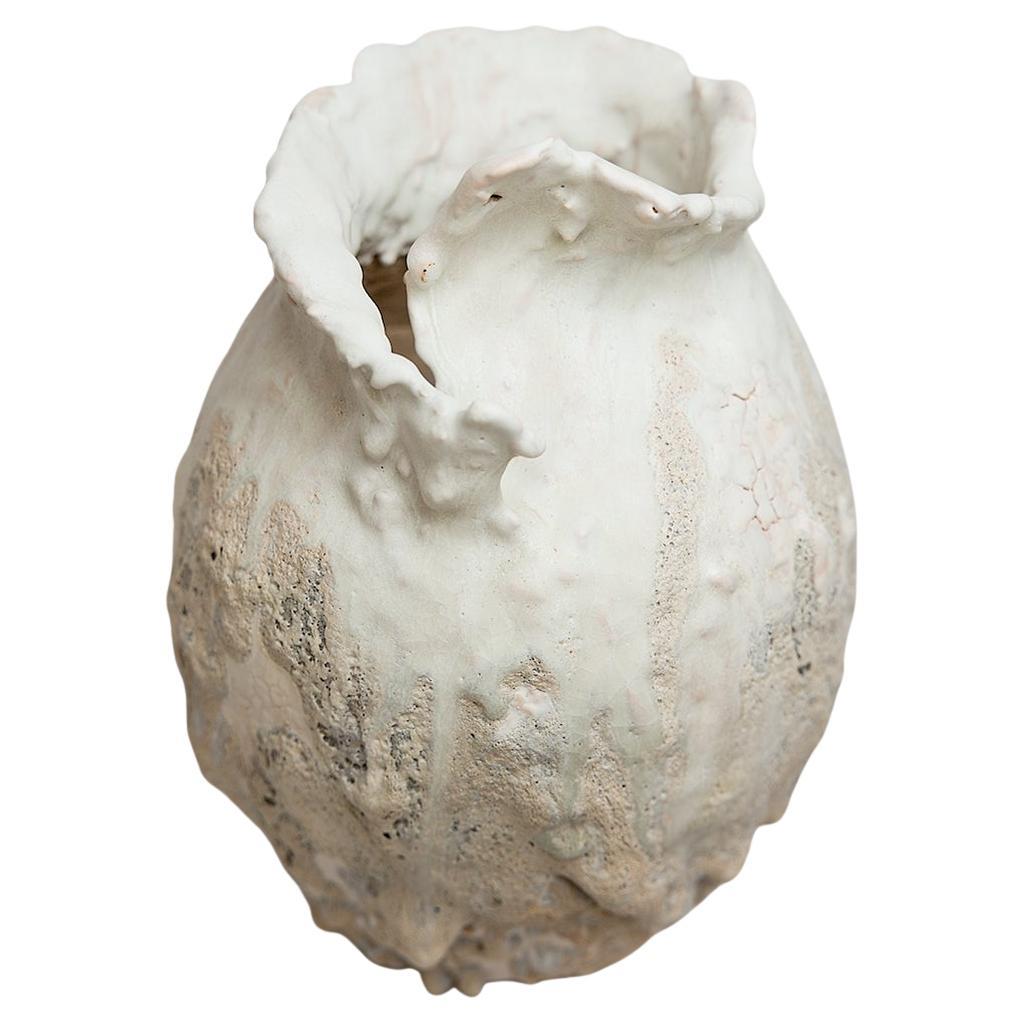 Lichen Vase with Autumn Textured Glaze II For Sale at 1stDibs