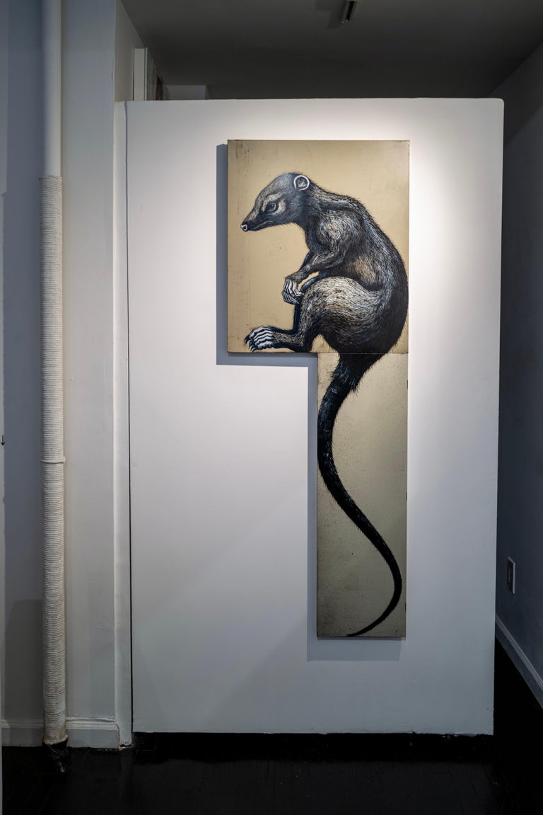 ROA - "DELPHIS VIRGINIANA (2022) (Opossum)" For Sale at 1stDibs