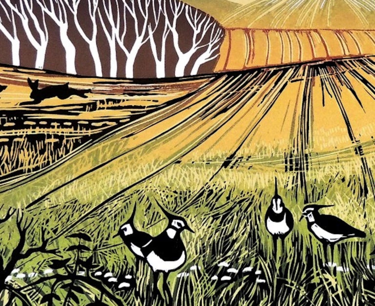 Rob Barnes - A Fine Day For Lapwings, Rob Barnes, Limited Edition Print ...