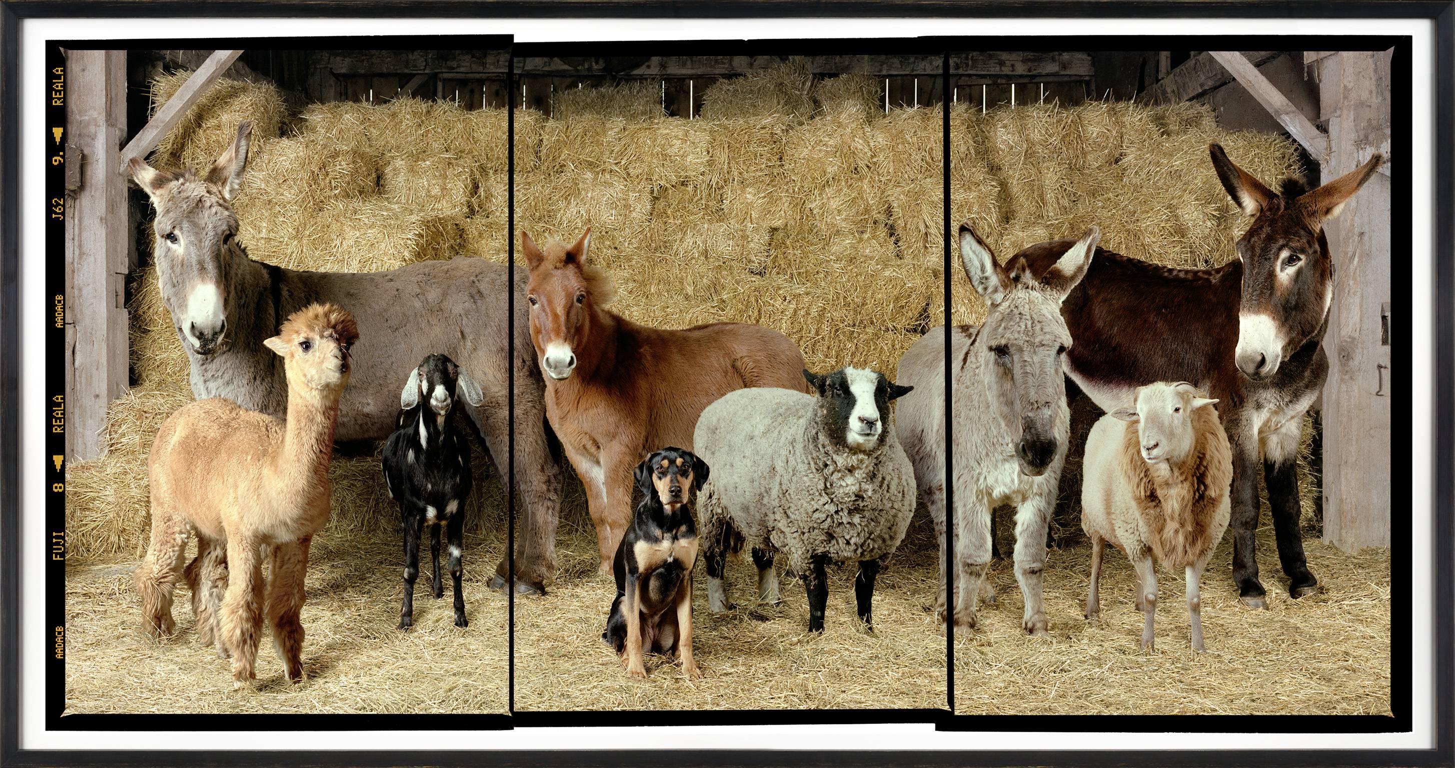 Rob MacInnis - Fresh Faces 1 at 1stDibs