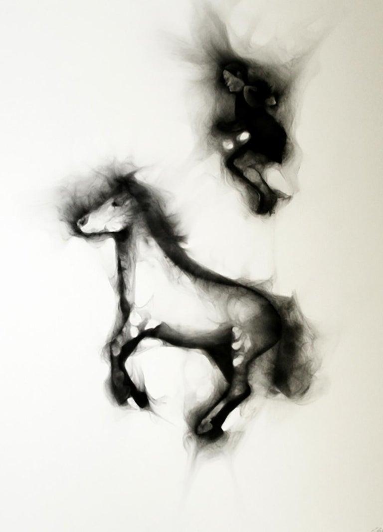 Rob Tarbell - Flying Alinga Double Jump, smoke on paper, elegant custom ...