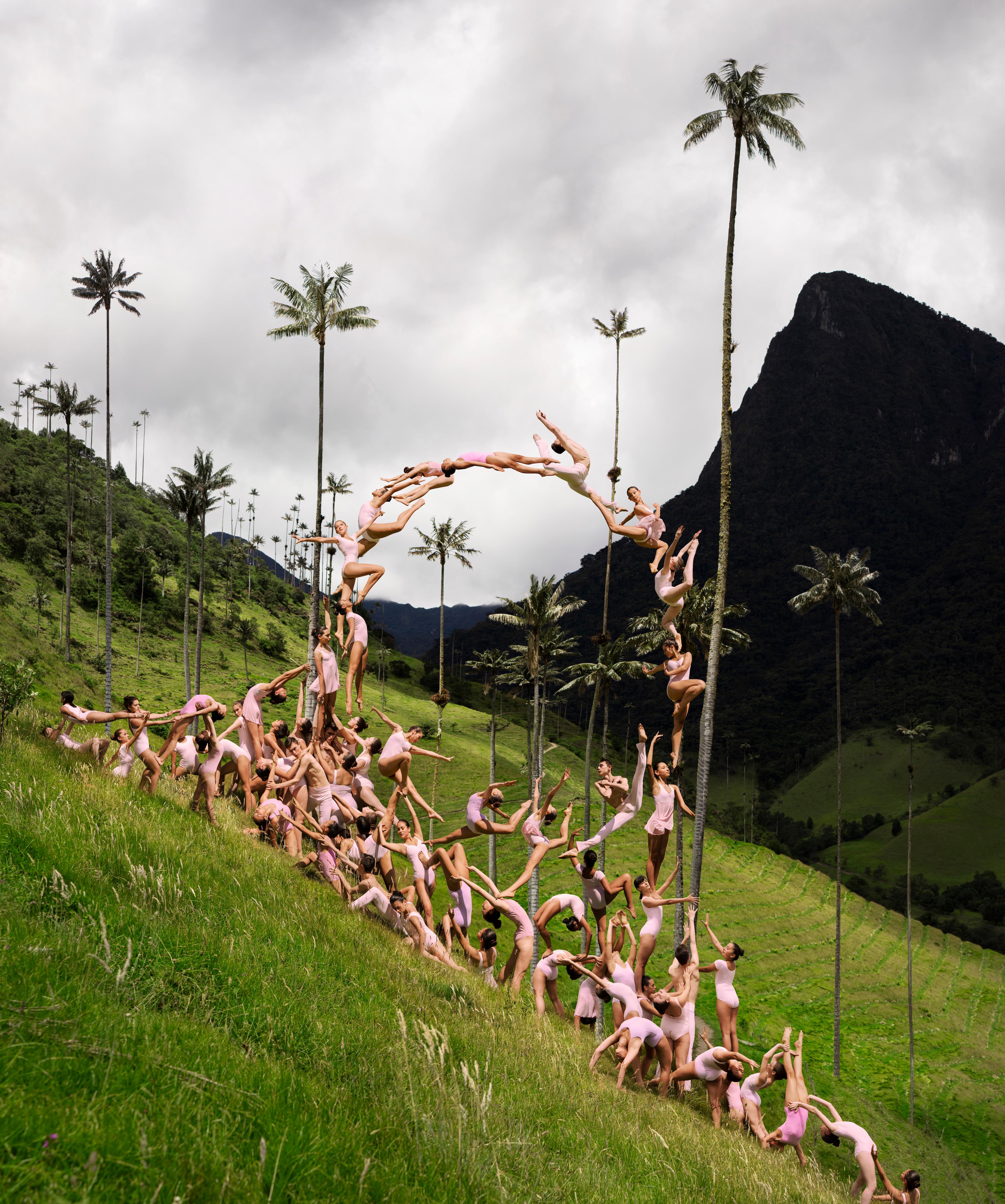 Rob Woodcox - "Regrowth" Photography 40" x 30" inch Edition of 30 by ...