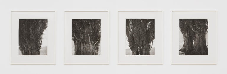 Robert Adams - Harney County, Oregon en vente sur 1stDibs