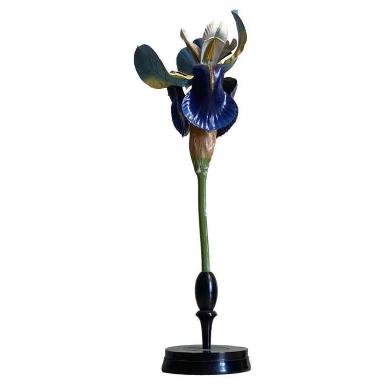 Robert Brendel's Botanical Model "Iris", Germany 1900s For Sale at 1stDibs