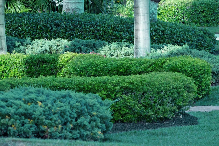 Robert Funk - Hedge Fun - How the Rich do Street Art (Comment les ...