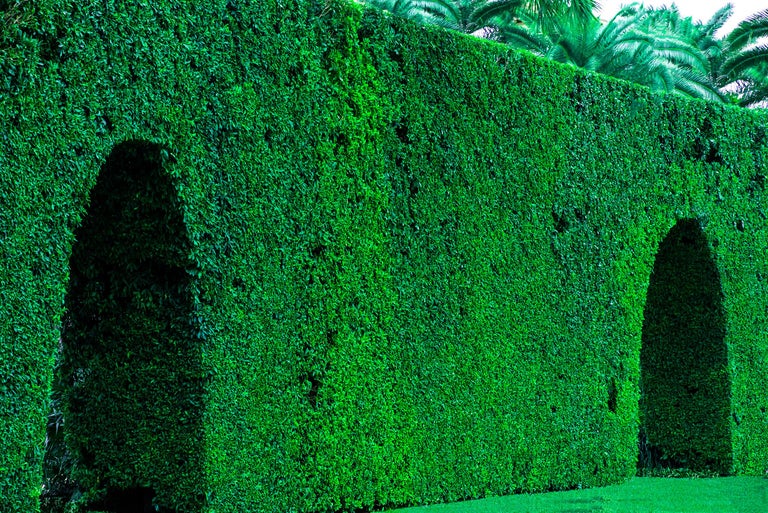 Robert Funk - Hedge Fun - Two Arches, Palm Beach - Slim Arrons forgot ...
