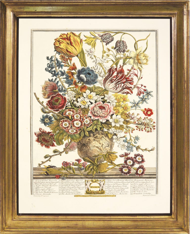 Robert Furber - FURBER''s Spectacular Floral Calendar: Twelve Months of ...