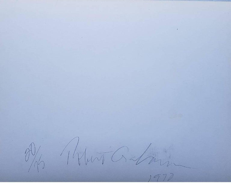 Robert Graham - Dye Transfer Study For Sale at 1stDibs | robert graham ...