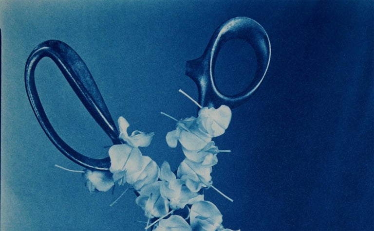 Robert Langham - Wisteria Scissors - Surreal blue cyanotype w/ wisteria ...