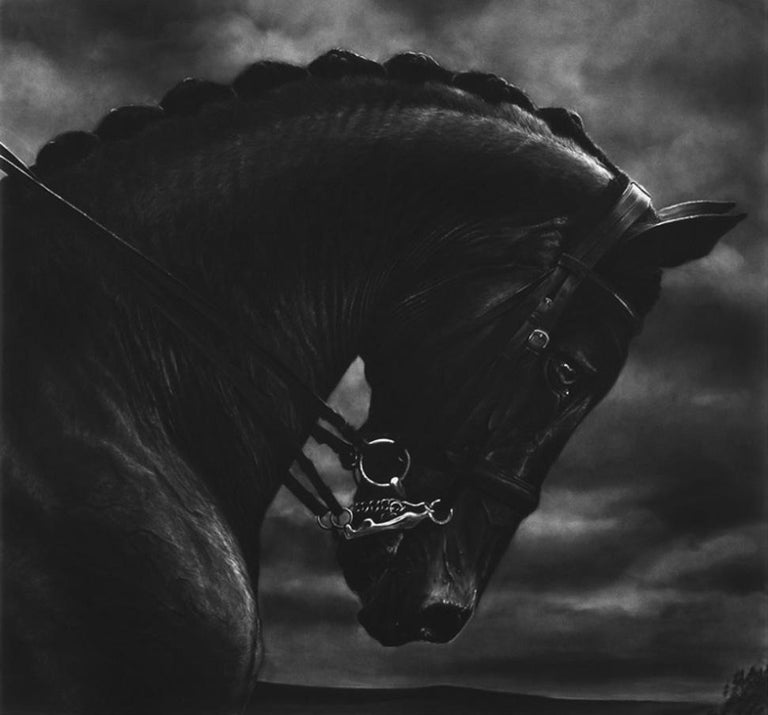 Robert Longo - Untitled (Bucephalus) For Sale at 1stDibs