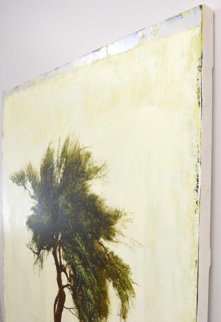 Robert Marchessault - 'Inconnu', abstract realist cypress tree painting ...