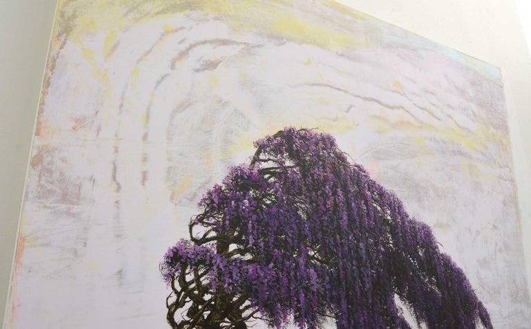 Robert Marchessault - 'Wisteria', abstract realist flowering tree ...