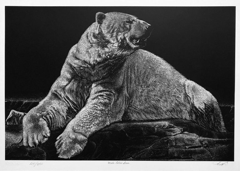 Robert Pow - MALE POLAR BEAR For Sale at 1stDibs