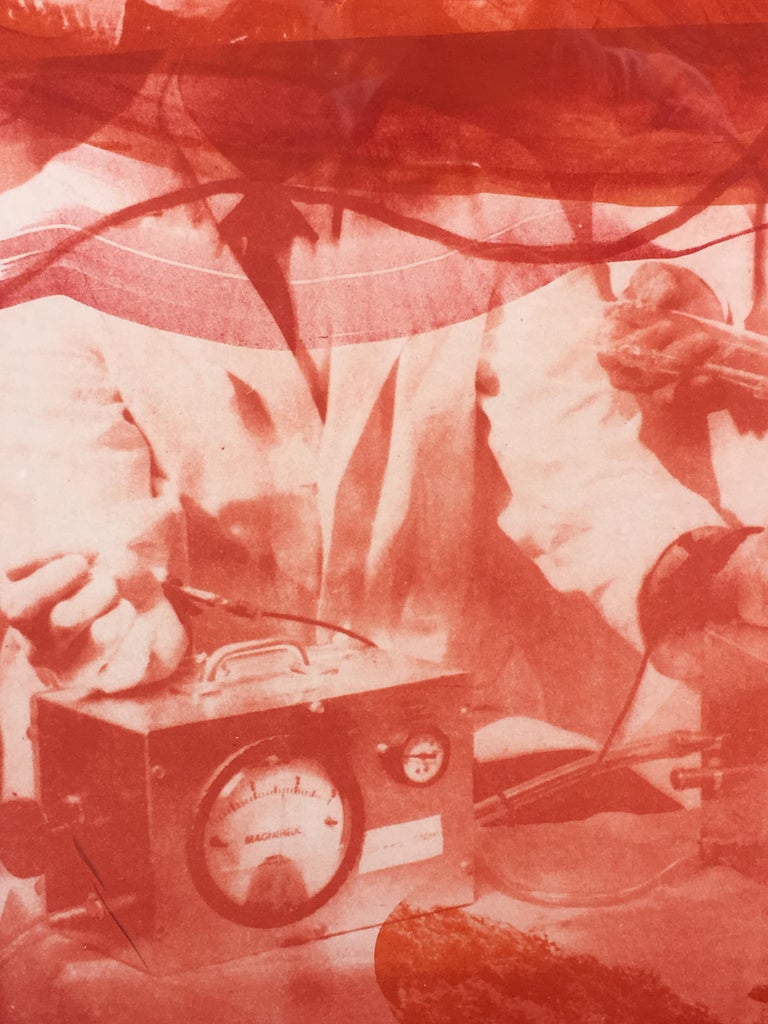 Robert Rauschenberg - Ape, from Stoned Mood For Sale at 1stDibs