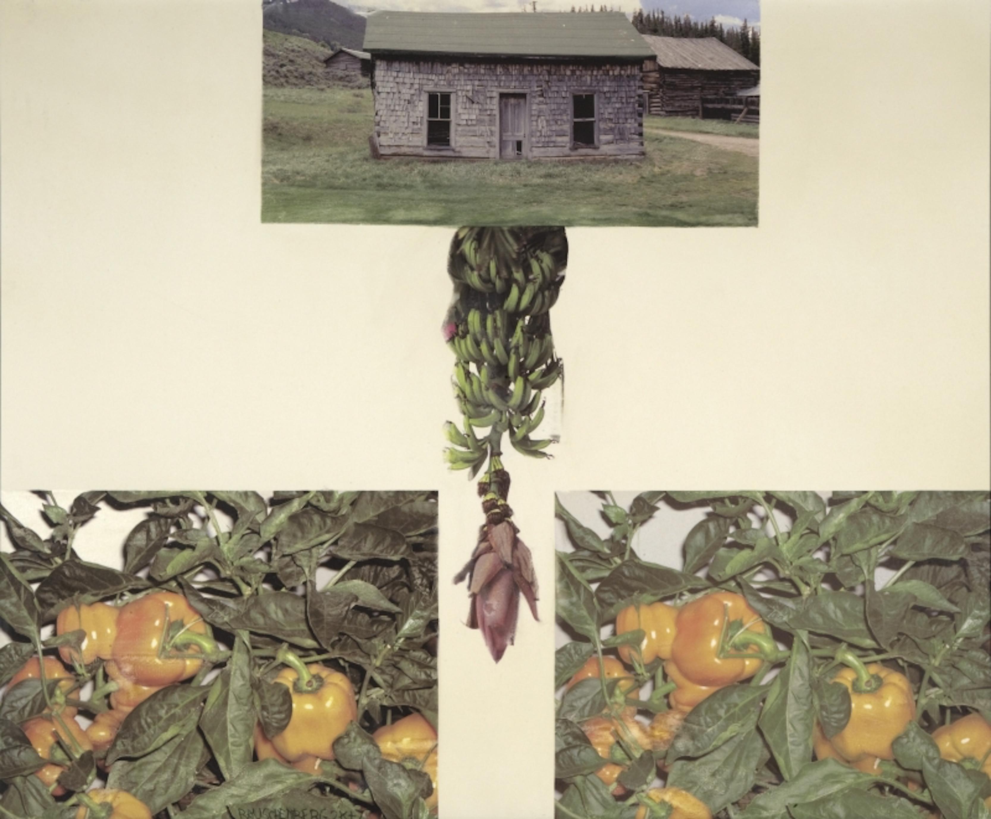 Robert Rauschenberg Art - 116 For Sale at 1stDibs | rauschenberg prints ...