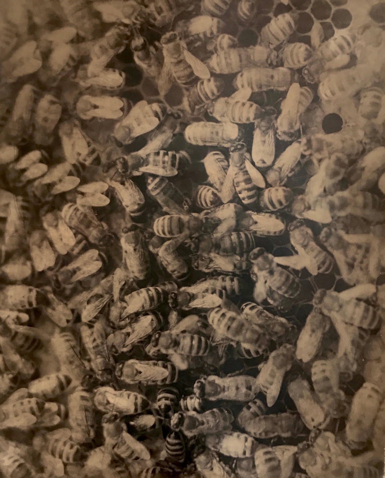 Robert Stivers - Hive, Santa Fe, NM, 2005 For Sale at 1stDibs