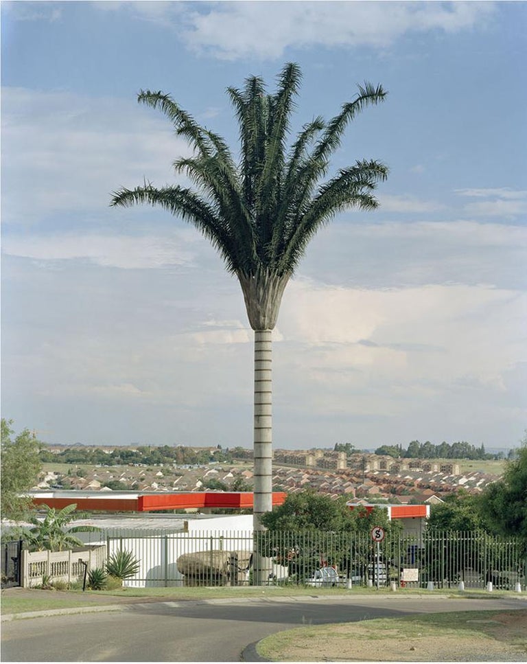 Robert Voit - Halfway Gardens, Midrand For Sale at 1stDibs