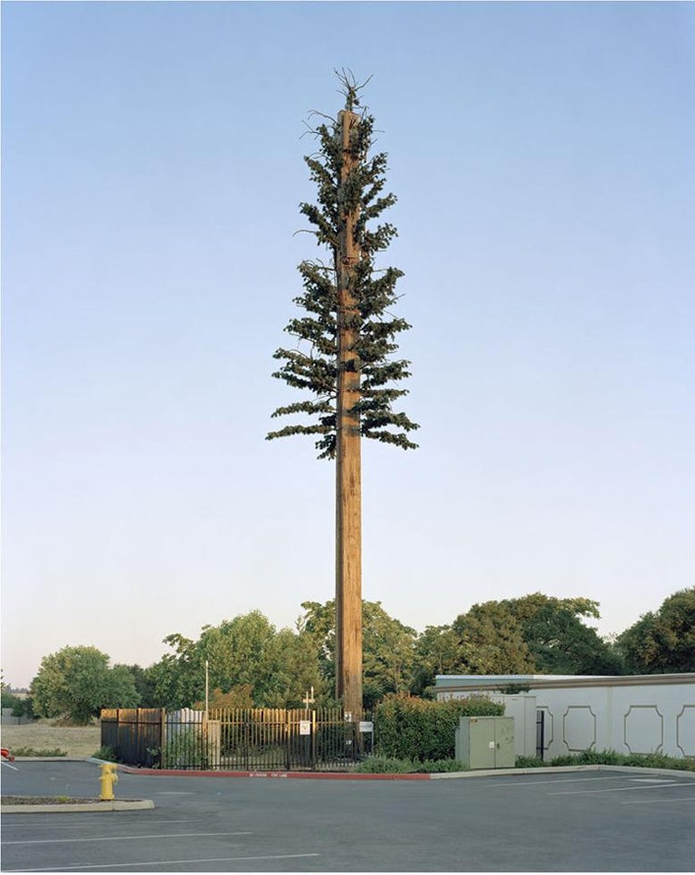 Robert Voit - Sacramento, California For Sale at 1stDibs