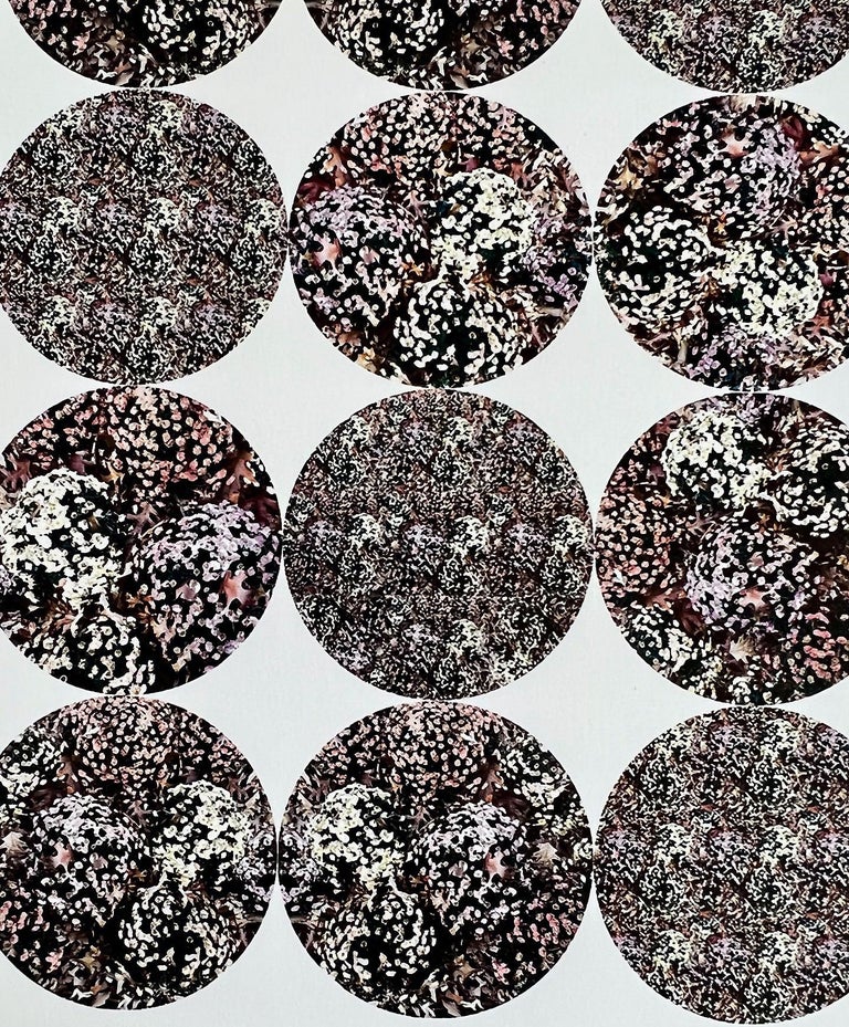 Roberta Fineberg - Love Letter, Digital Art, Contemporary Photography ...