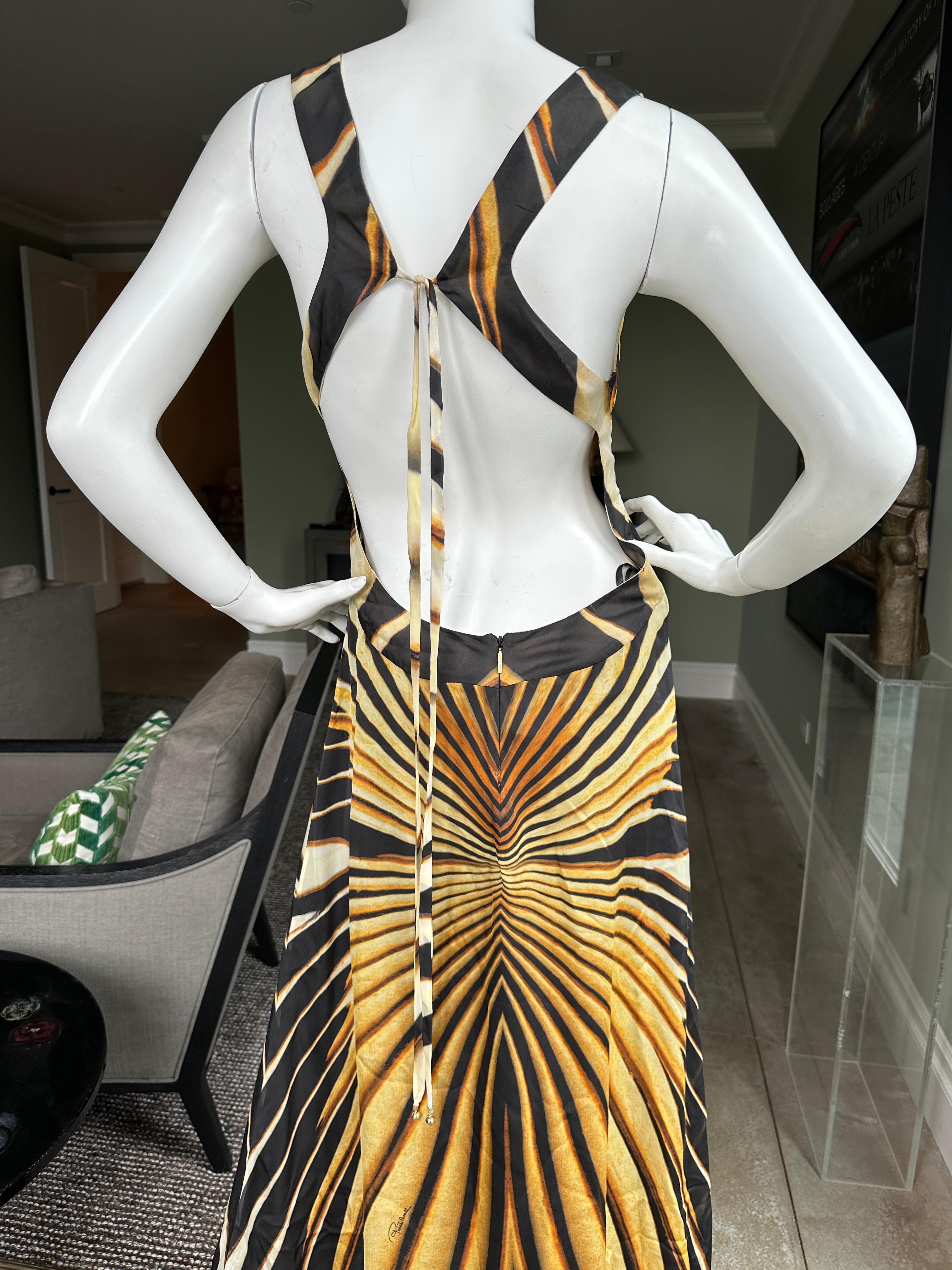 Roberto Cavalli Spring 2007 Butterfly Stripe Silk Evening Dress For ...