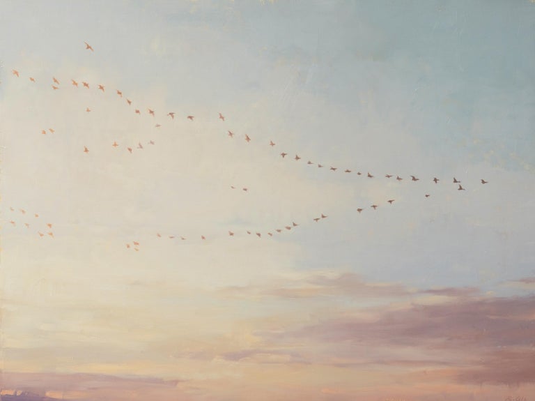 Robin Cole - "Sunwise" , Oil Painting For Sale at 1stDibs