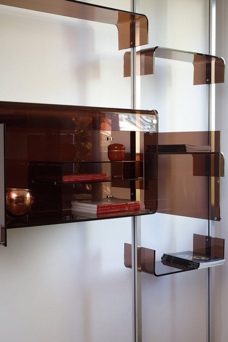 Roche Bobois bookcase in smoked plexiglass by Michel Ducaroy at 1stDibs