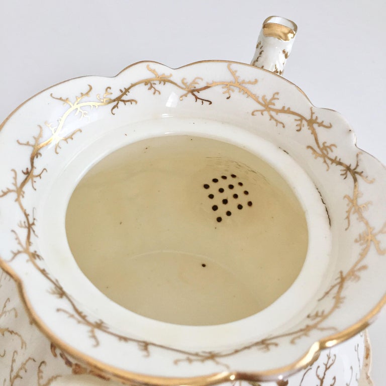Rockingham Porcelain Tea Service, Cream, Gilt and Flowers, Rococo ...