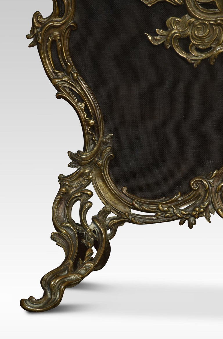Rococo Style Brass and Mesh Fire Screen For Sale at 1stDibs