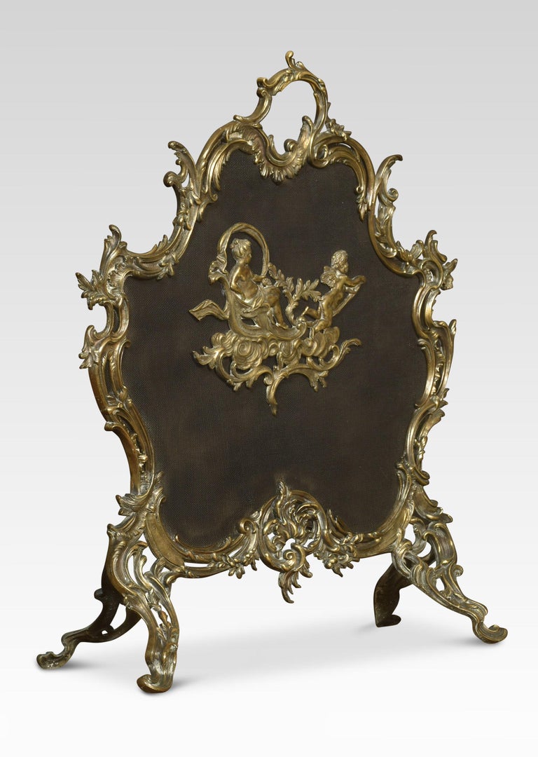 Rococo Style Brass and Mesh Fire Screen For Sale at 1stDibs