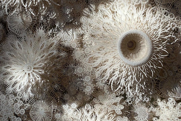 Rogan Brown - "Coral Mandala 2", Hand Cut, Laser Cut Paper Wall ...