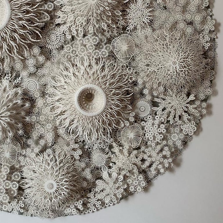 Rogan Brown - "Coral Mandala 2", Hand Cut, Laser Cut Paper Wall ...