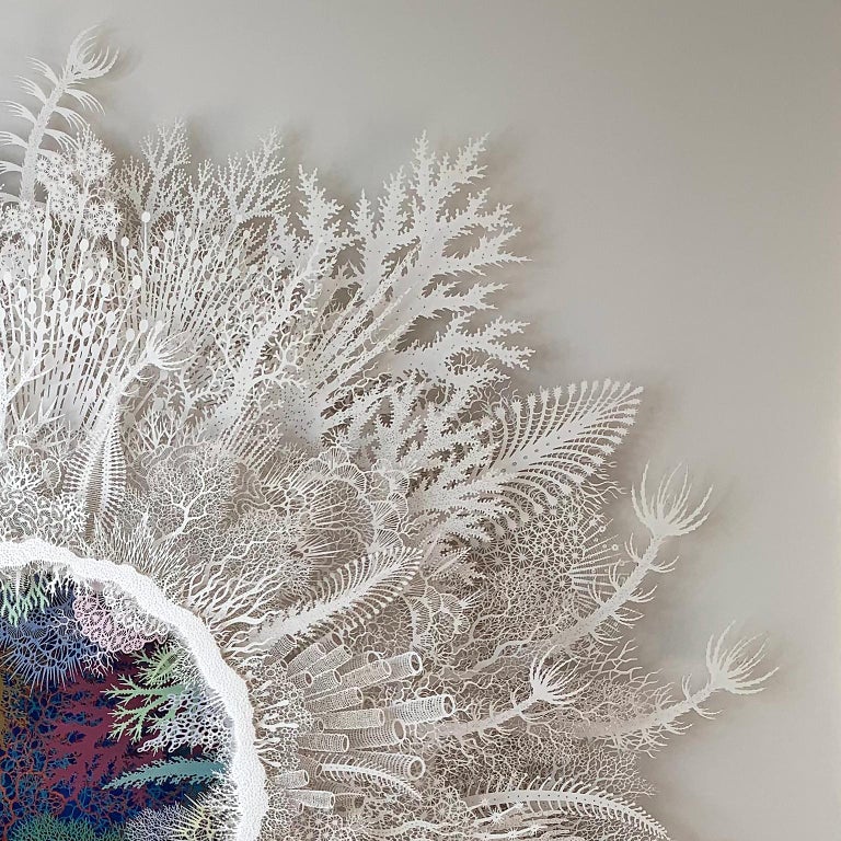 Rogan Brown - "Ghost Coral Color Variation", Organic Hand Cut, Laser ...