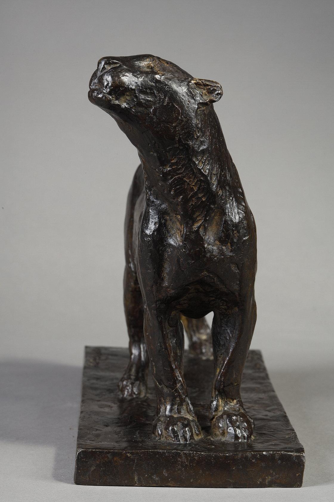 Roger Godchaux - Lioness sniffing For Sale at 1stDibs