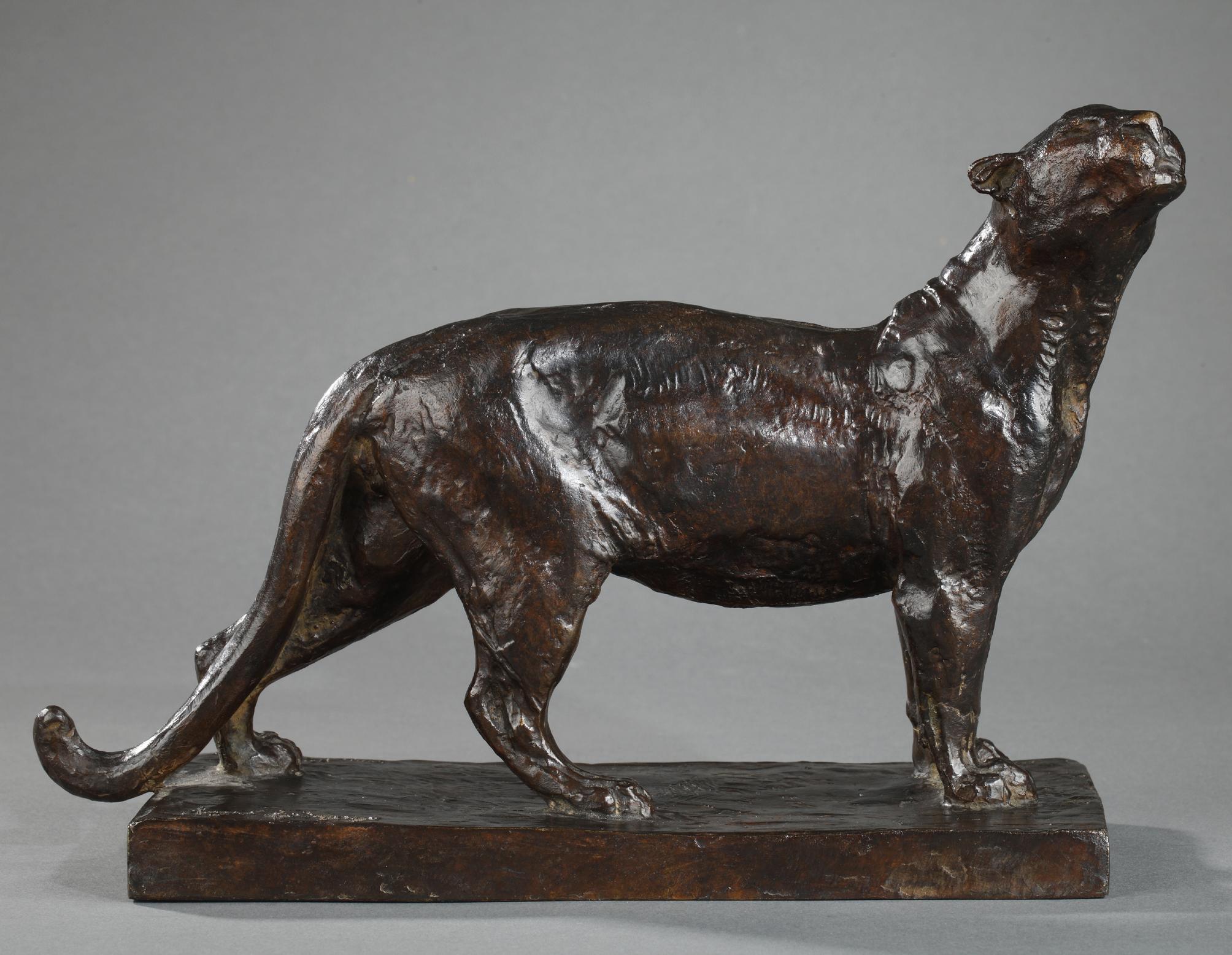 Roger Godchaux - Lioness sniffing For Sale at 1stDibs