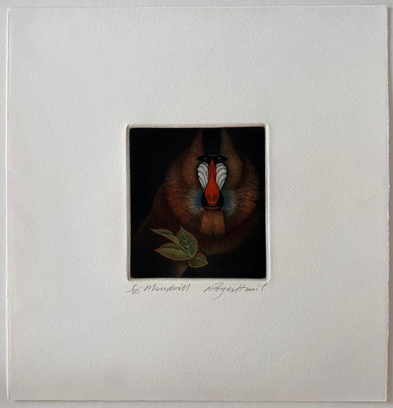 Roger Harris - Mandrill For Sale at 1stDibs