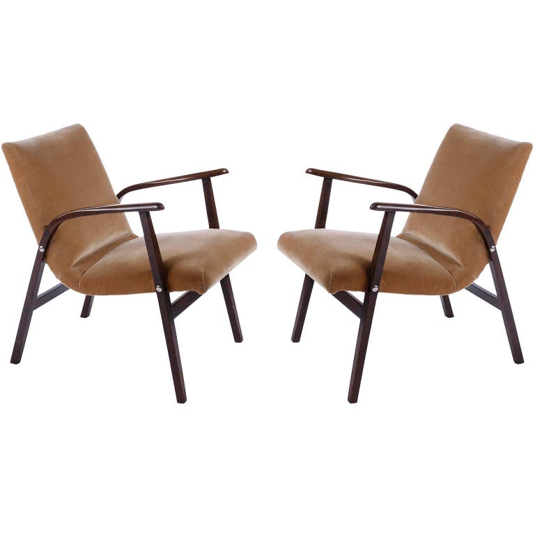 Roland Rainer Armchair Stacking Chair, Bicolored Beech Wood, Austria ...