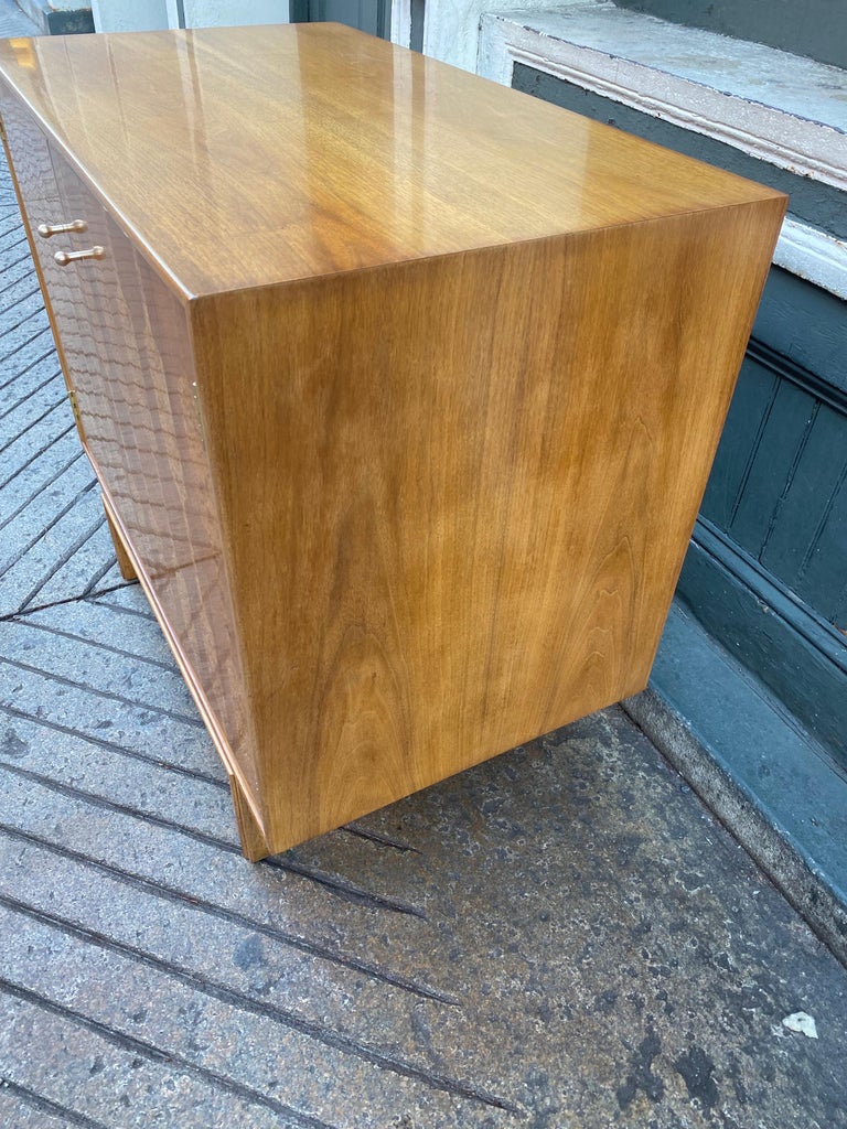 Rom Weber Burled Wood and Walnut 2 Door Cabinet For Sale at 1stDibs