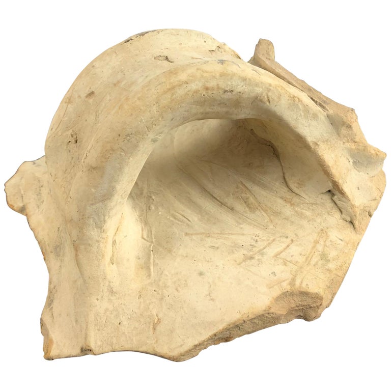 Roman Clay Jar Handle Fragment For Sale at 1stDibs