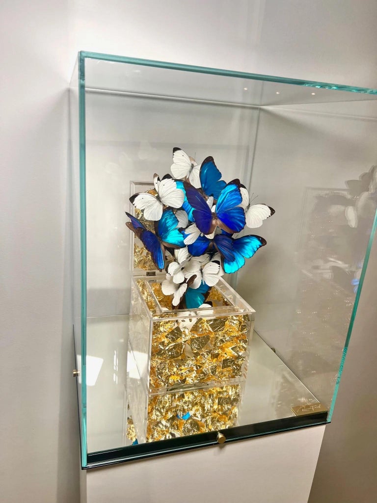 Roman Feral - GOLD LEAF WHITE and BLUE, For Sale at 1stDibs