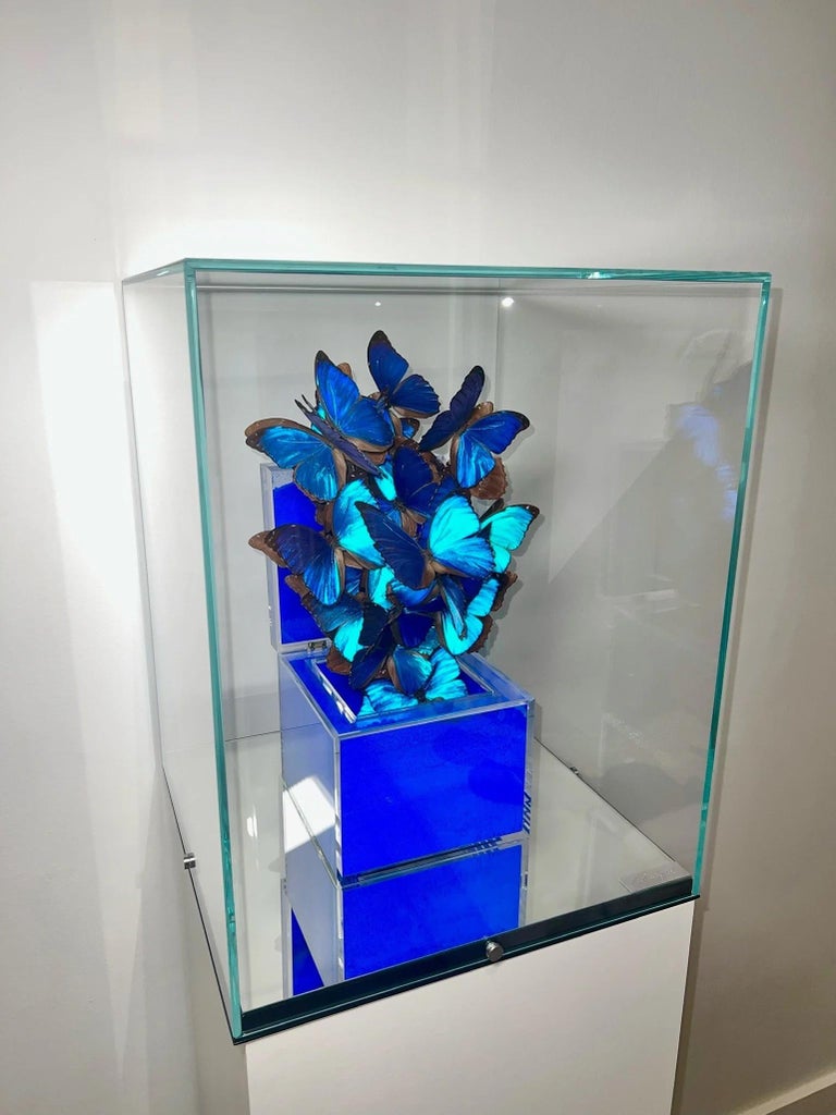 Roman Feral - KLEIN BLUE III For Sale at 1stDibs
