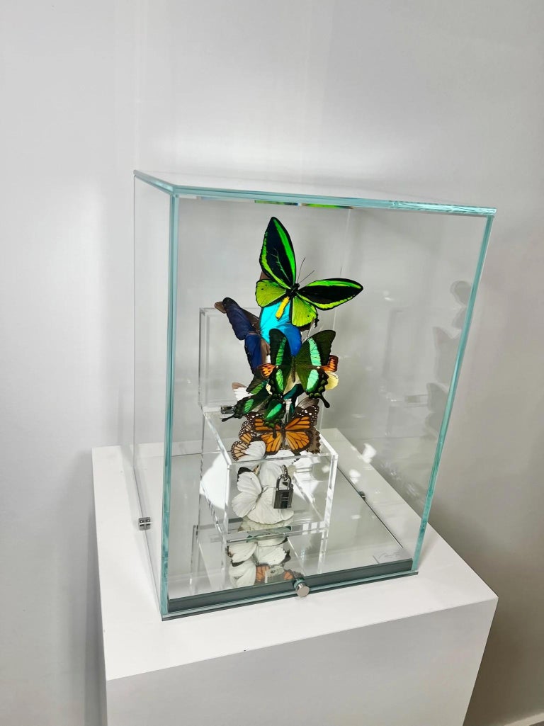 Roman Feral - LOVE LOCK COLORFUL X For Sale at 1stDibs